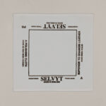 Selvyt Cloth - SR - Selvyt Cleaning Cloths